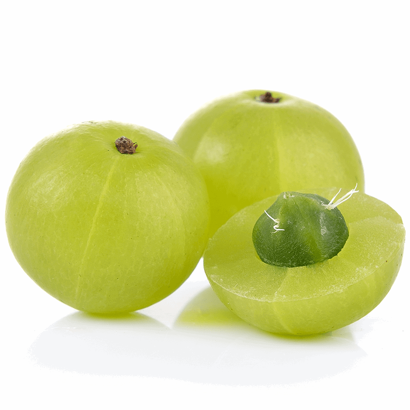 Buy Fresh Amla online UK – SUJASH
