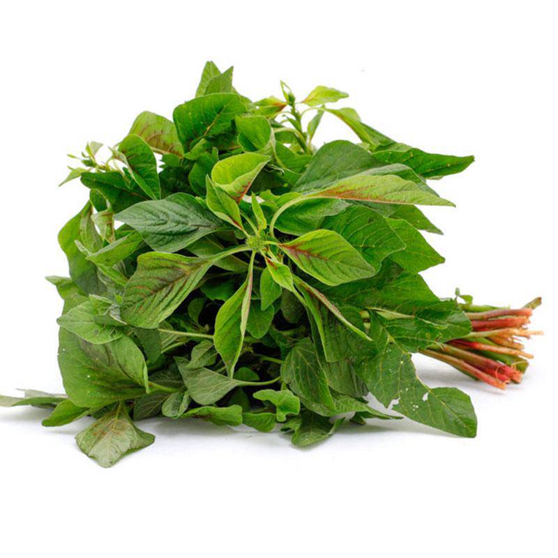 Thotakura | Amaranth leaves | Chaula (Approx 200g) - 1 Bunch – SUJASH