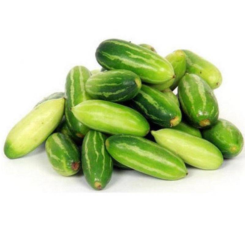 Fresh Tindora | Ivy gourd | Scarlet gourd | Dondakaya 500g – SUJASH